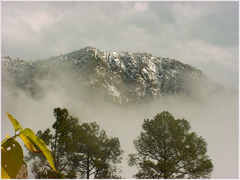 Kunsi Ashram Photo Album | Purusha at Maharishi Ashram - Kunsi ...