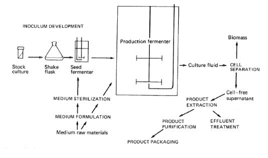 Dhanus Micro Notes: Basic concepts of fermentation