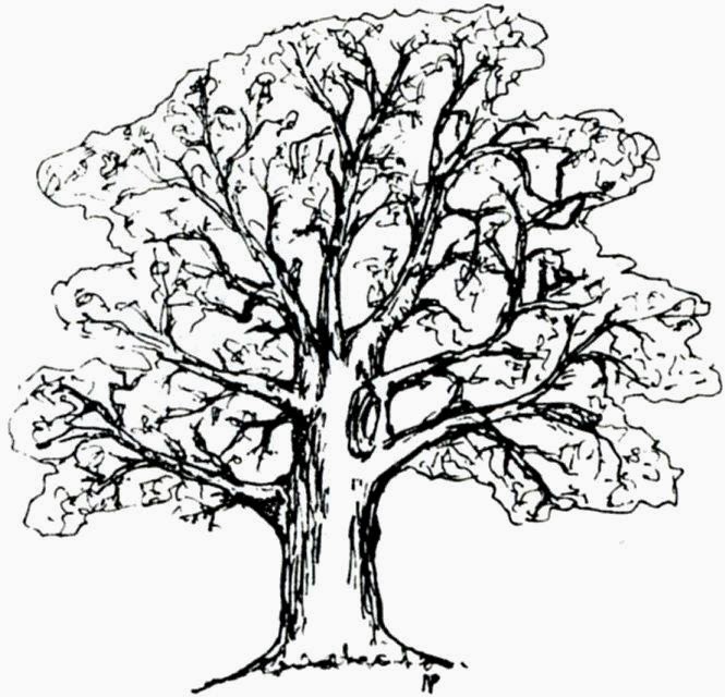 Oude Wandelgidsen van Renkum: WANDELING OVER HET LANDGOED QUADENOORD (IVN)