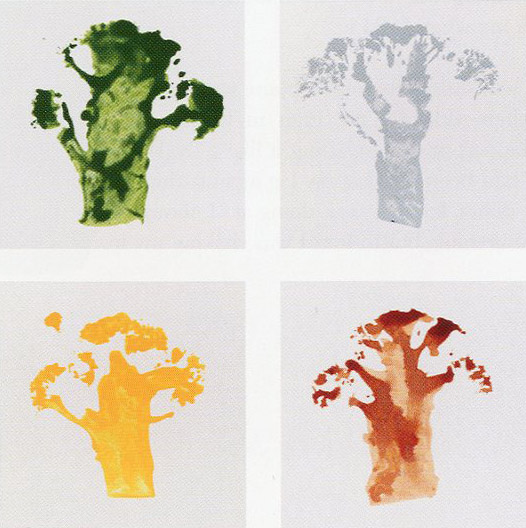 stopping off place: broccoli