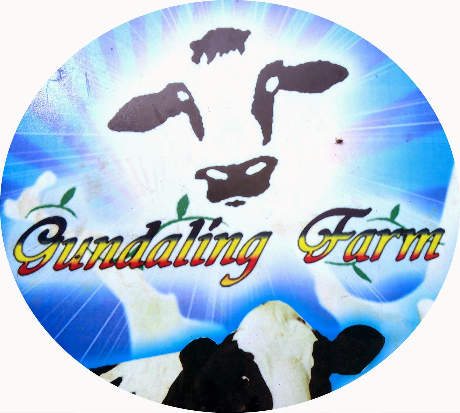 Gundaling Farm - Berastagi - Sumatera Uara | North Sumatera Ku