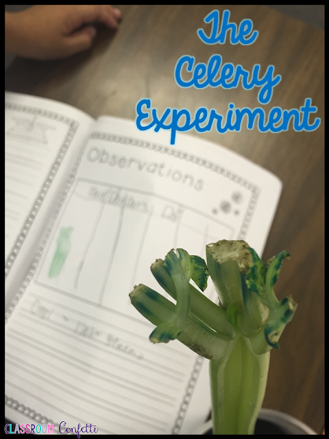 Science Experiments - Classroom Confetti