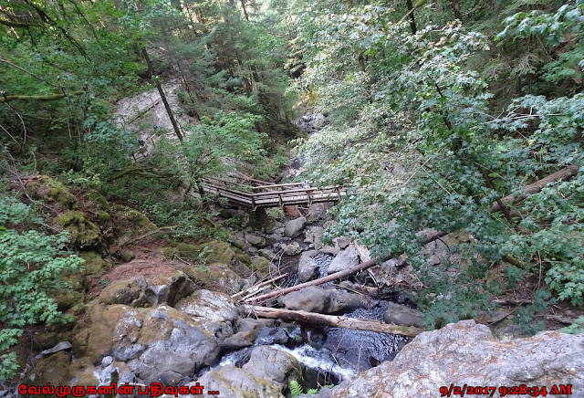 Rodney Falls Washington - Exploring My Life