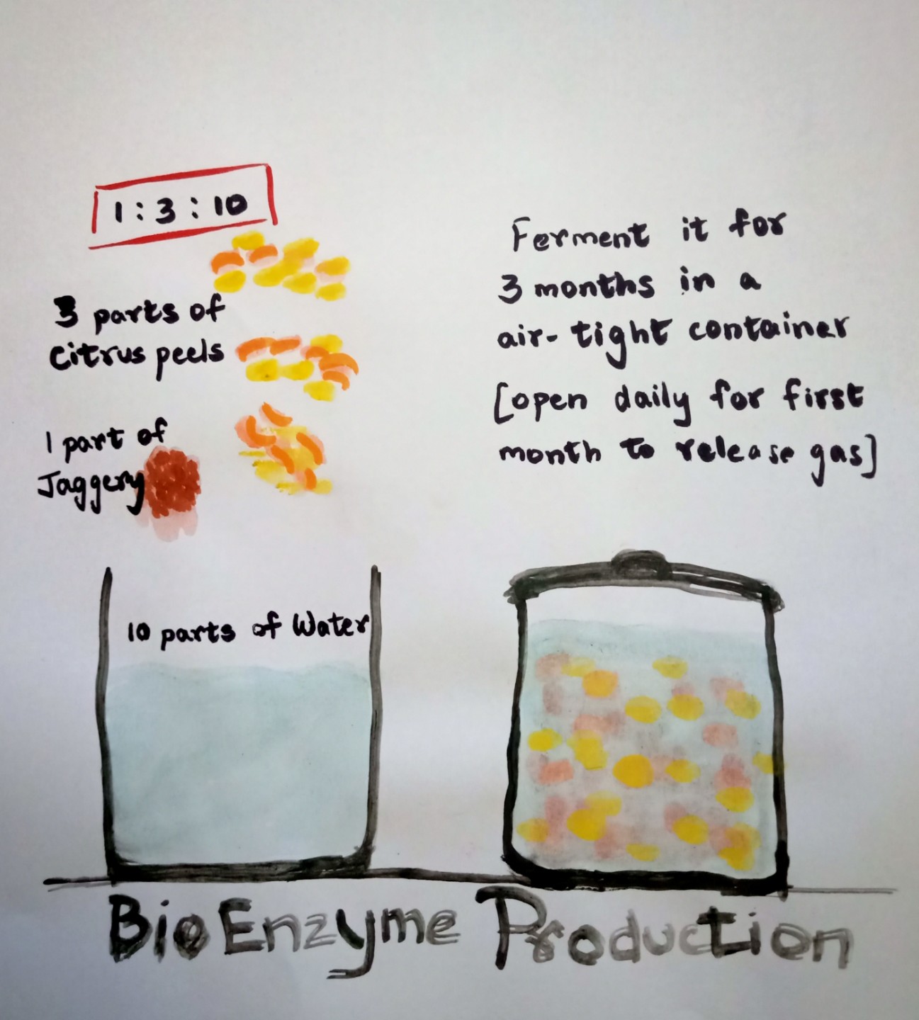 Bio Enzyme- A Natural Multi- purpose Cleaner