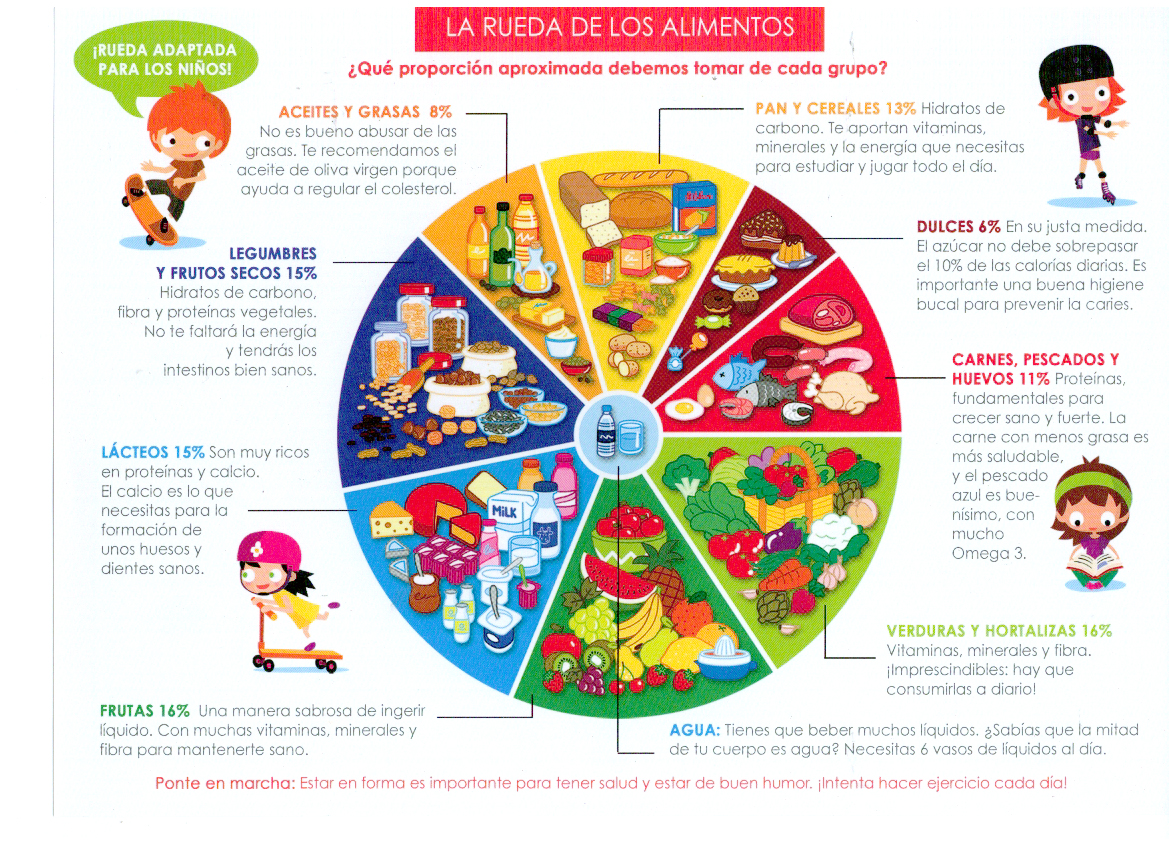 Rueda de los alimentos | Alimentación saludable para niños ...