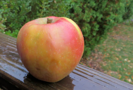 Pink Luster - Adam's Apples