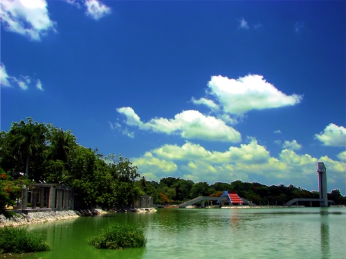 ESTO ES TABASCO....: ESTA ES SU FLORA.