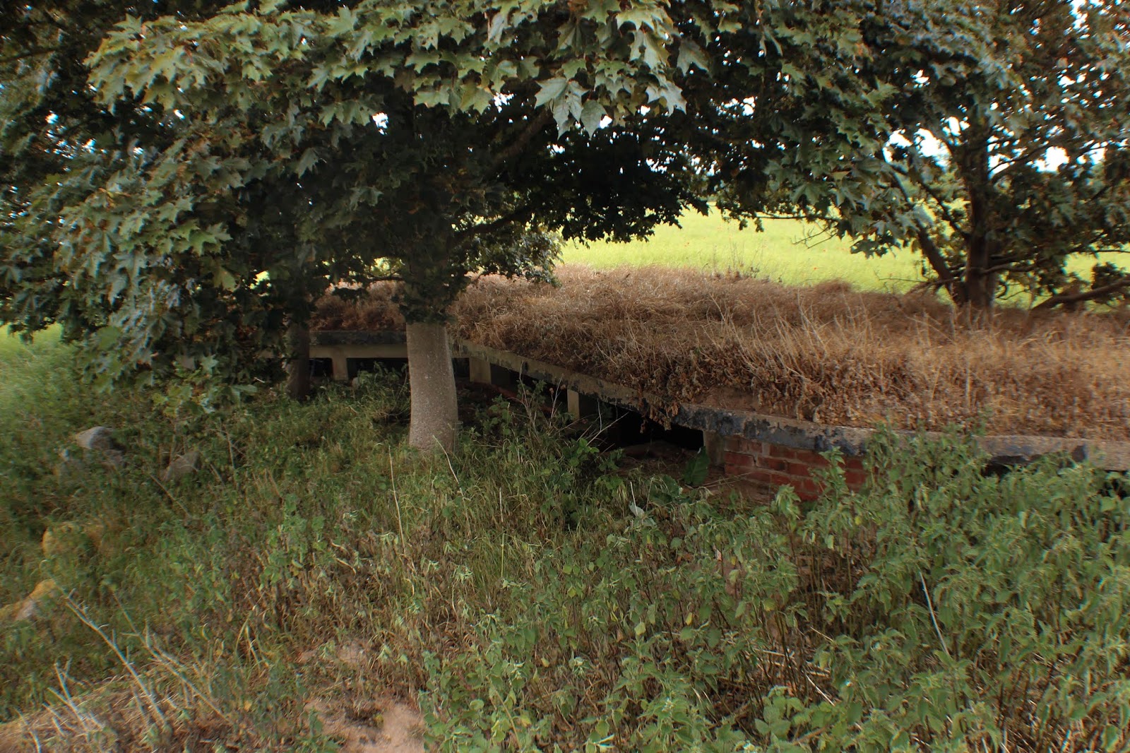 Shrewsbury from where you are not: Atcham Airfield