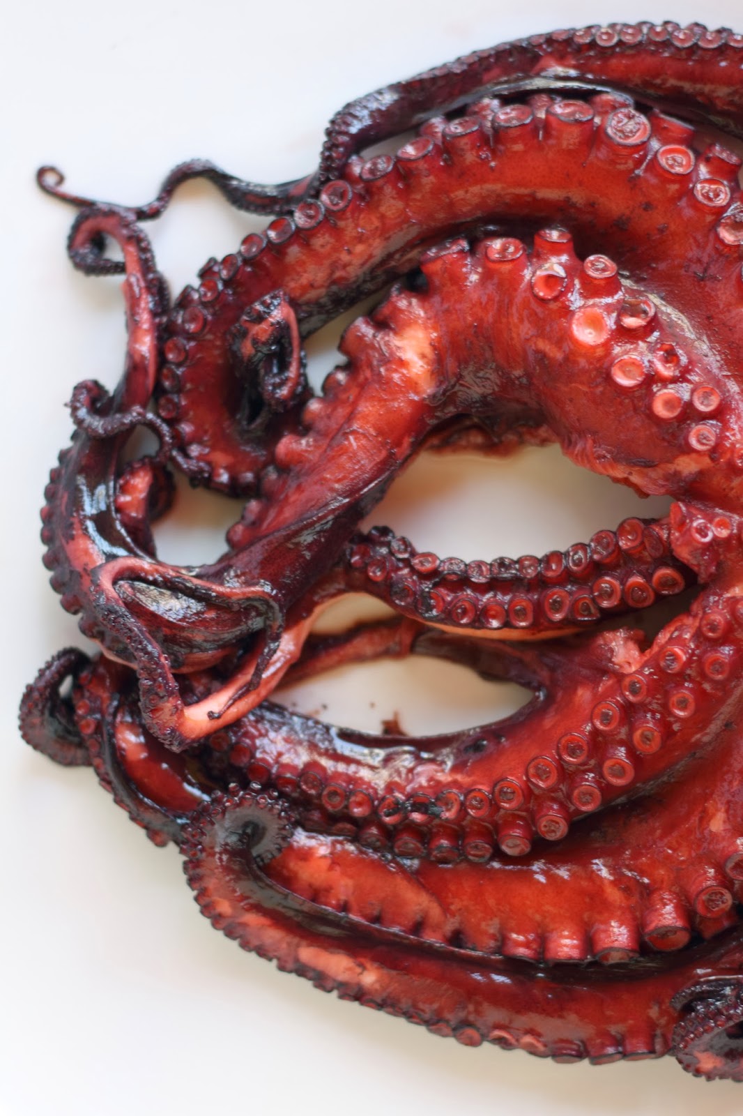 an Experimental Cook: Il polpo si cuoce nell’acqua sua