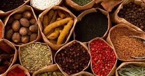 Farmakognosi: Pengertian Simplisia