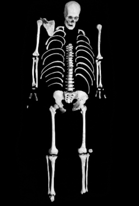 VISIONS OF THE NORTH: The Tale of the Bones, Part III