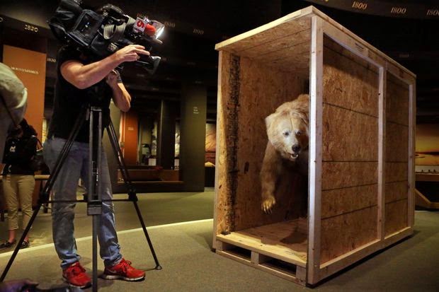 Dodge Moving & Storage a Mayflower Agent