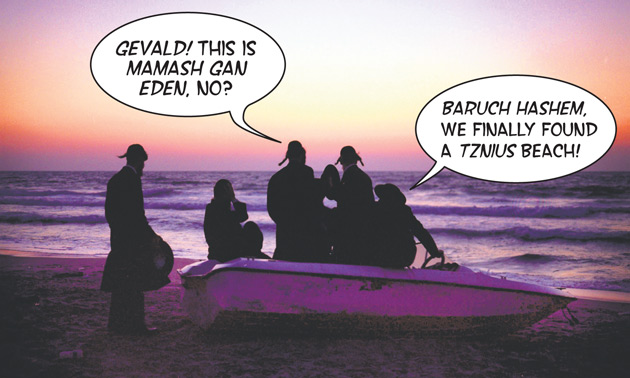 Emes Ve-Emunah: Yeshivish – the Language