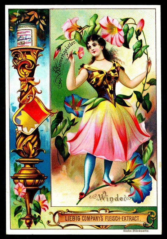 Gecko Galz: A GARDEN OF DESIGNS BY........Amanda Hamilton