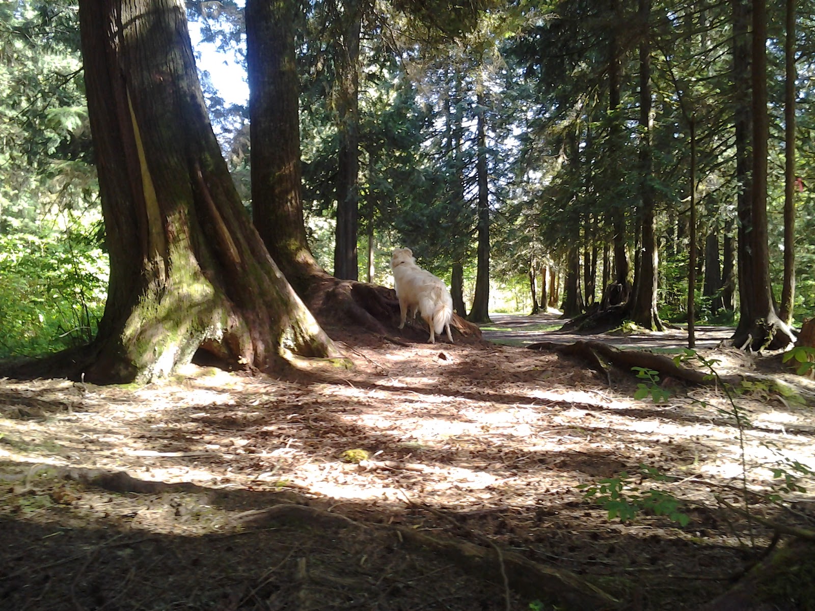 Hiring a Virtual Assistant – Things to consider – Pushing Paper