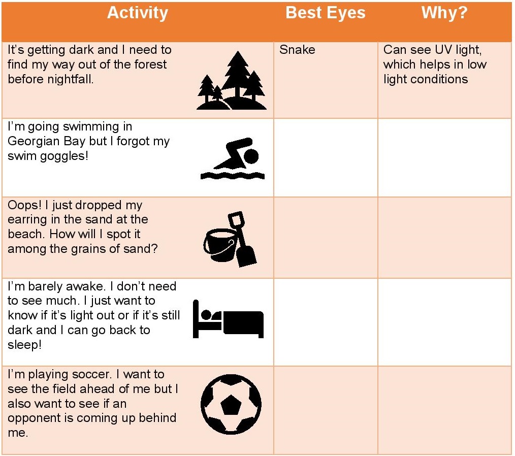 Kids in the Biosphere: Eyes See What You Did There