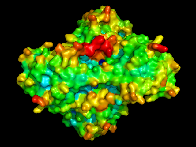 Phosphofructokinase-1: Visual Representations of PFK-1