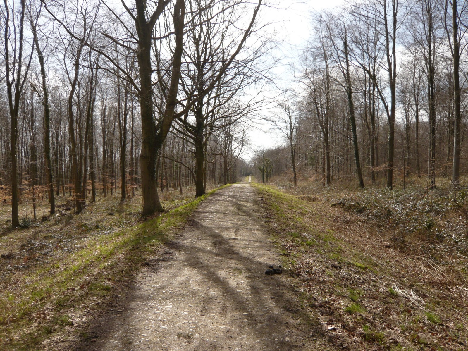 A walk amongst the stones: Stane Street, Roman Road, West Sussex