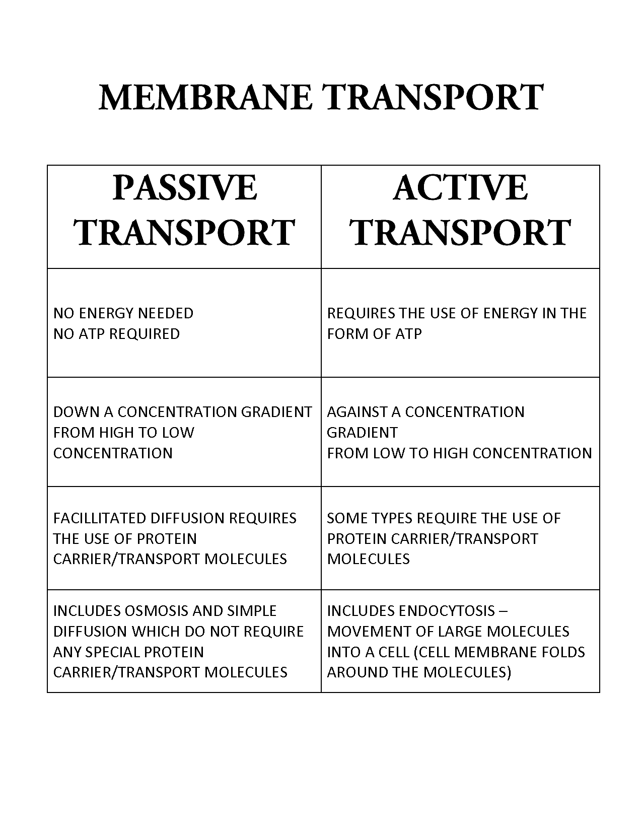 Passive Transport Vs Active Transport Venn Diagram Collage Template passive-transport-vs-active-transport-venn-diagram-collage-template