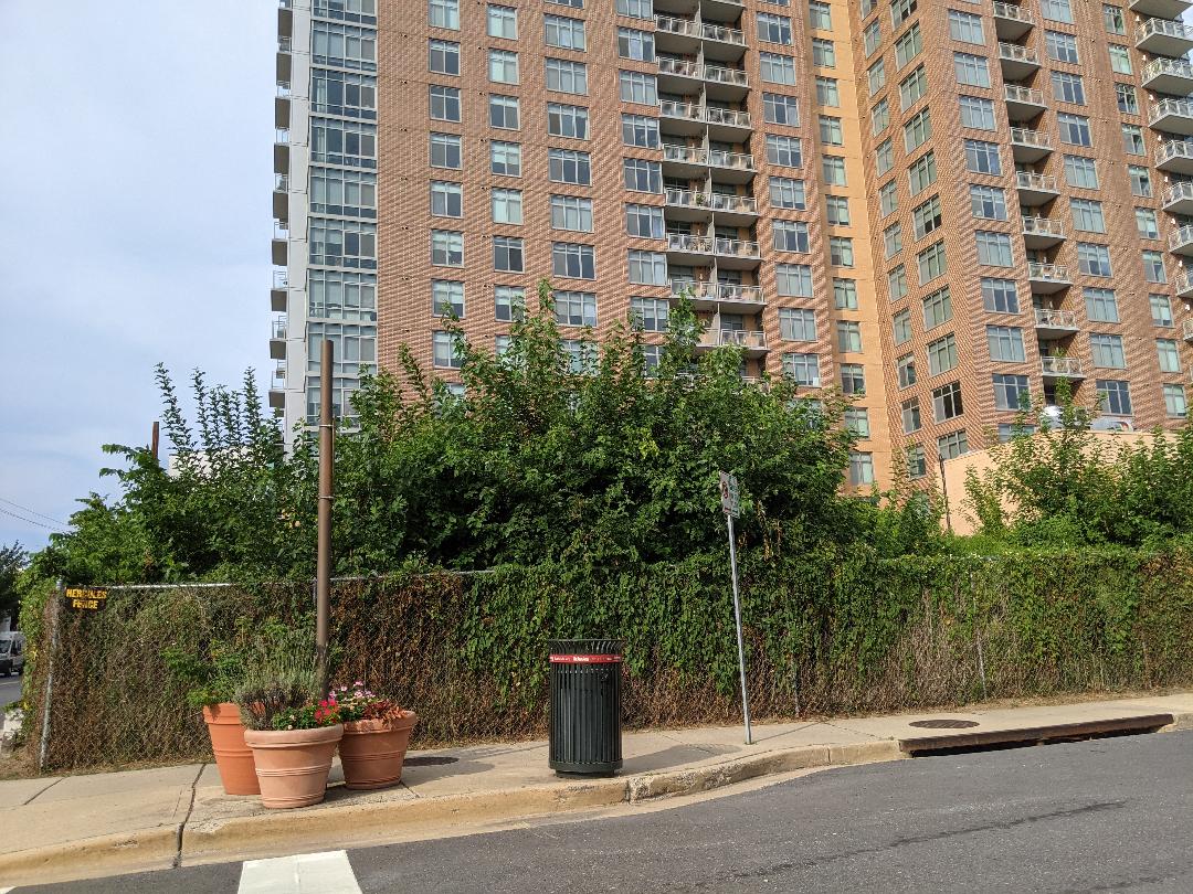 Robert Dyer @ Bethesda Row: Nature reclaims site of the future ...