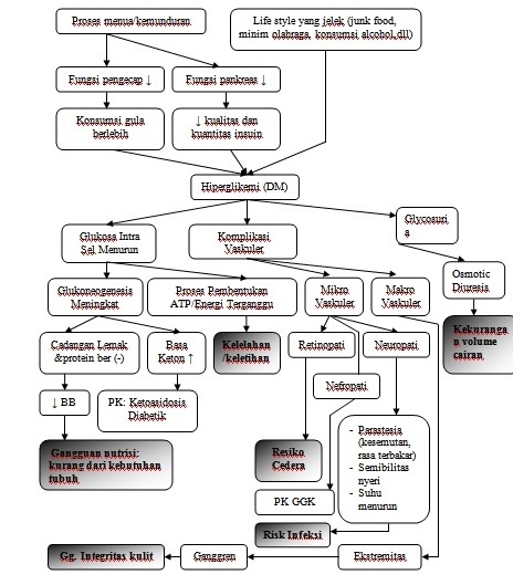 Novi *Cuah* : PATHWAY DM