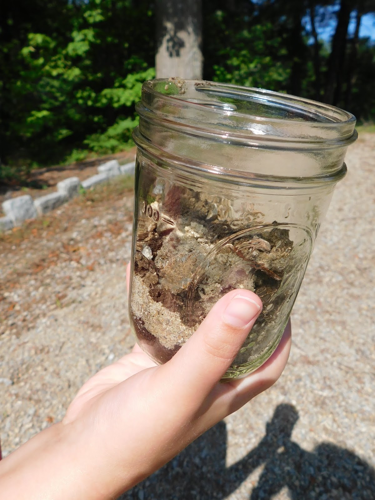 100 Days of Science #87-- Sediment Layer Jars