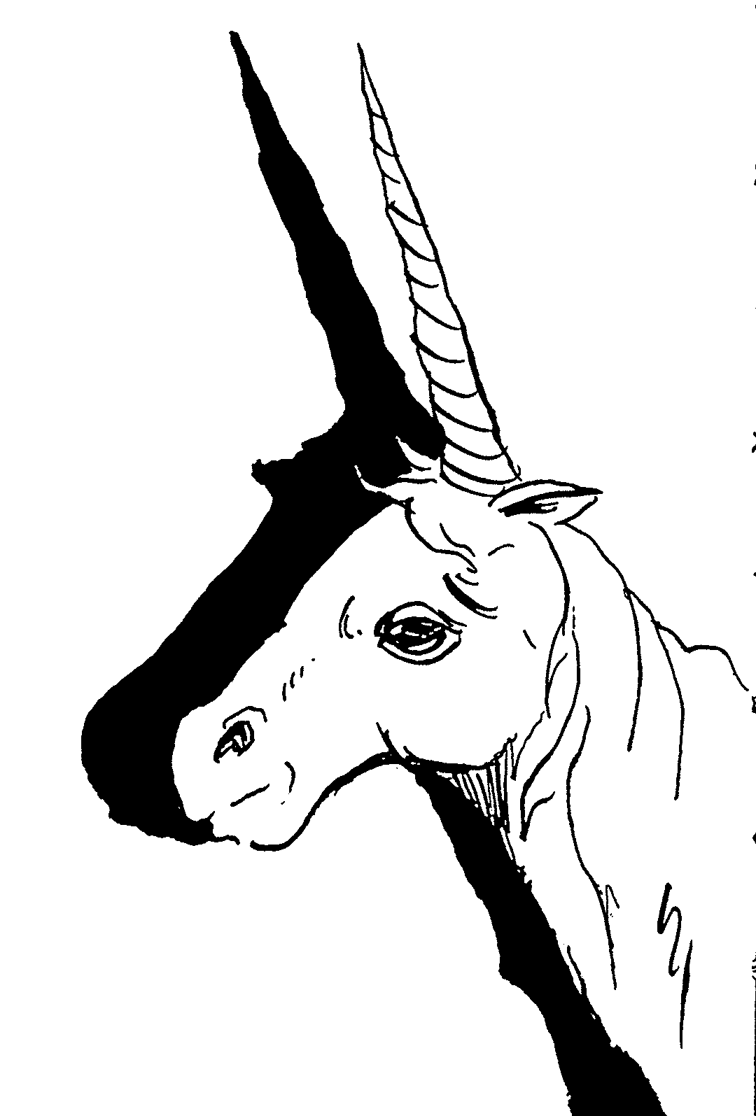 Demônios goéticos: 67 Amduscias - Goétia Luciferiana