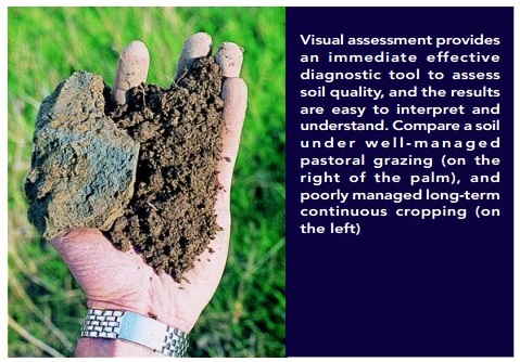 H2Grow : Visual Soil Assessment – A practical guide to assessing your ...
