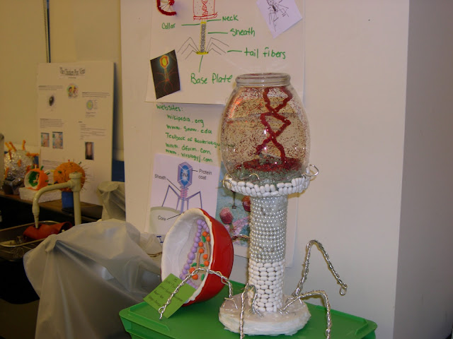 Bronxville Science Department: Honors Biology II Virus Projects