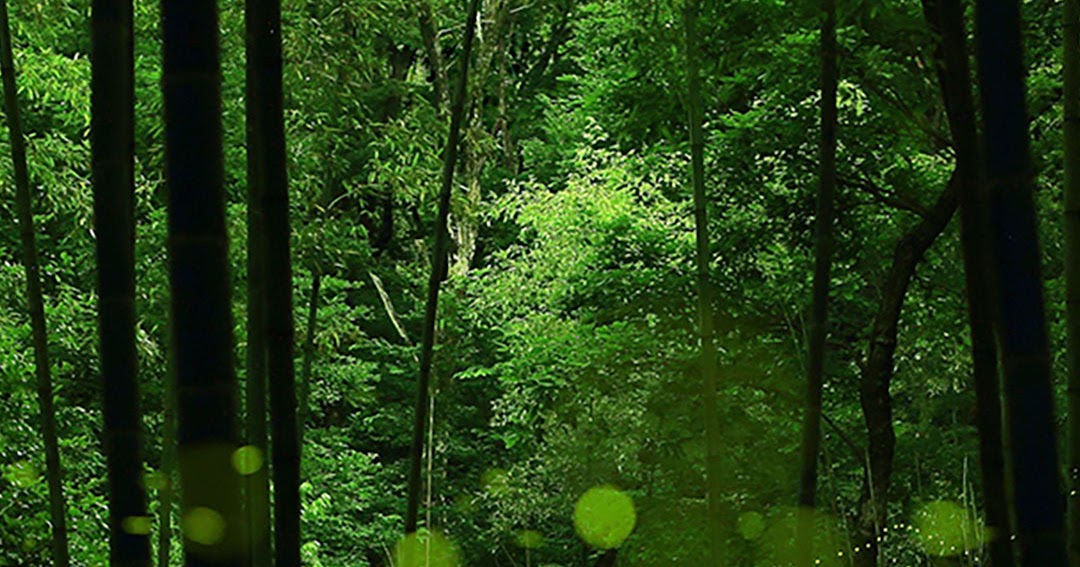 Fondo android pack 100