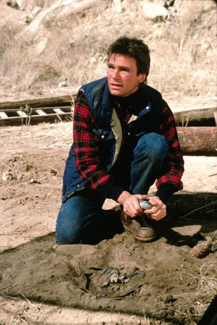 Quisiera ser amanda: El ingenioso caballero MacGyver.