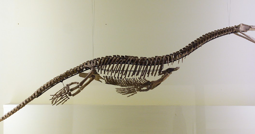 Variety of Life: Eusauropterygia