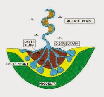 Suara Geologi: Perbedaan Endapan Delta dan Endapan Sungai