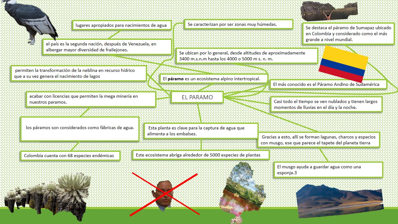 MAPA MENTAL - El PÁRAMO.