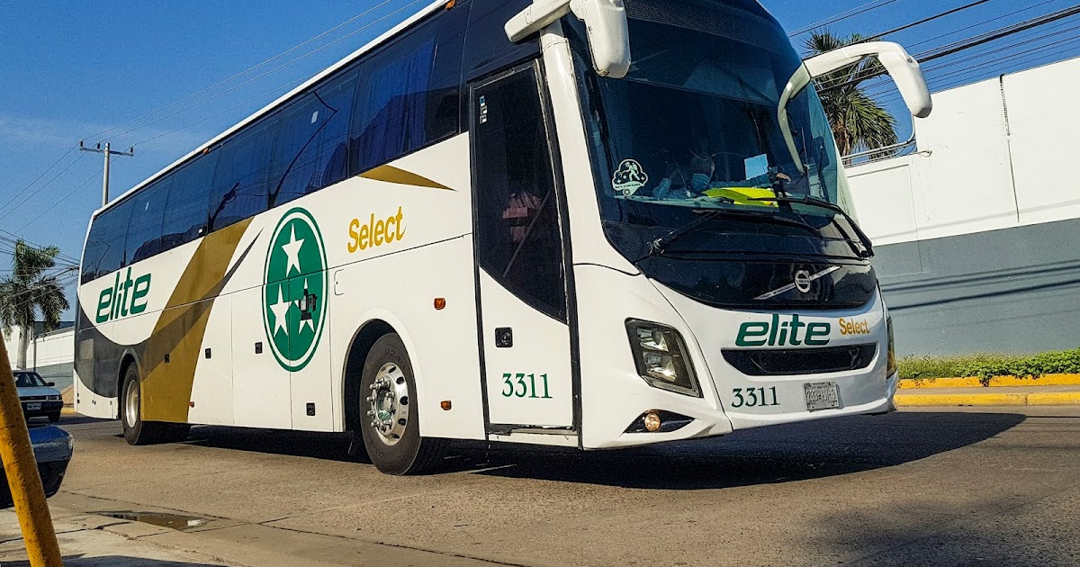 MAXIBUSES: ELITE SELECT