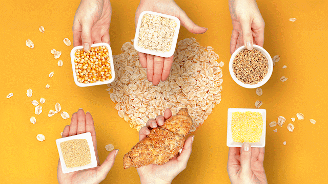 Las Funciones De Los Carbohidratos Gif Ales Mapa | My XXX Hot Girl