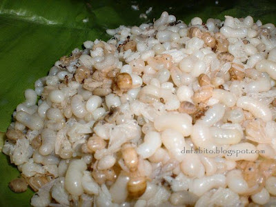 CONE FOR ME: Itlog ti Abuos