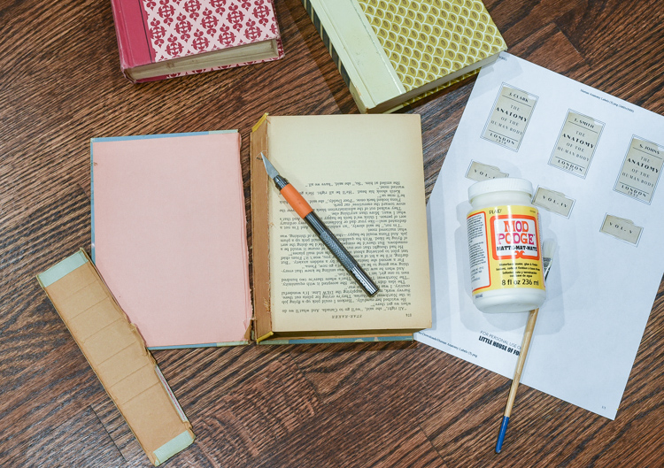 Free Printable: Vintage-Inspired Anatomy Book Labels | Little House of ...