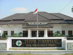 Dalam perkembangan selanjutnya,penugasan Perum Perhutani mengalami ...