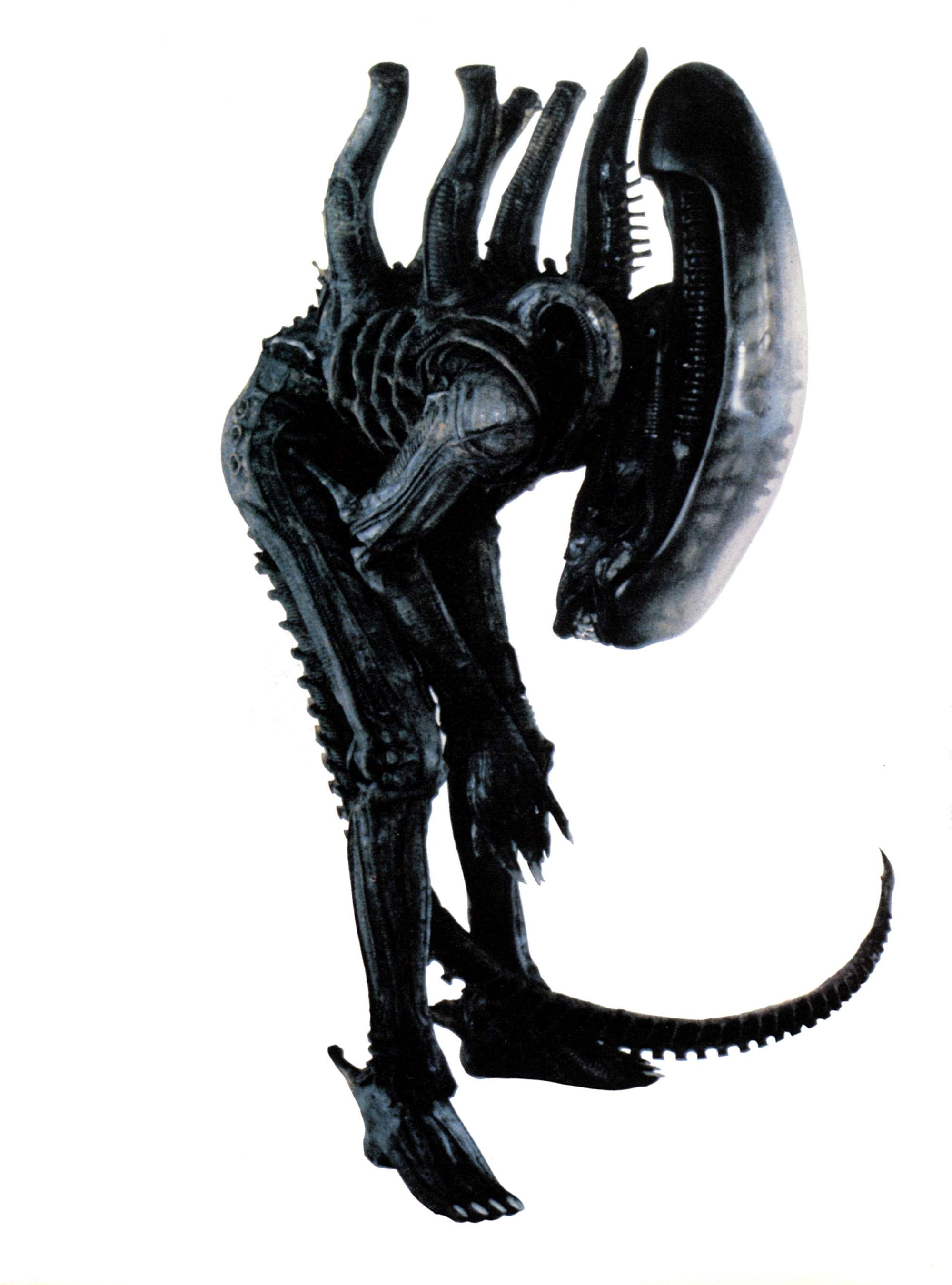 Alien Explorations: Alien Life Cycle Hieroglyphs according to Rob Ager ...