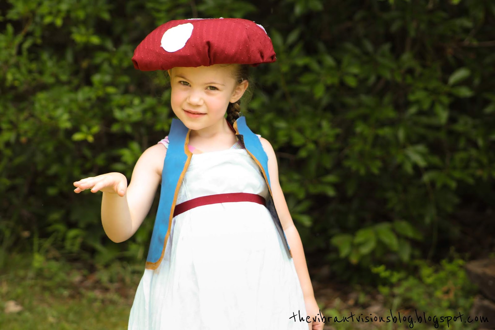 the Vibrant Visions blog: Easy DIY Girls Toad Costume