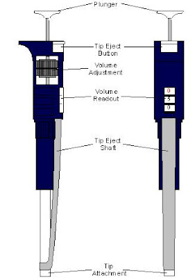 Research Laboratory for Biotechnology and Biochemistry ( RLABB ...