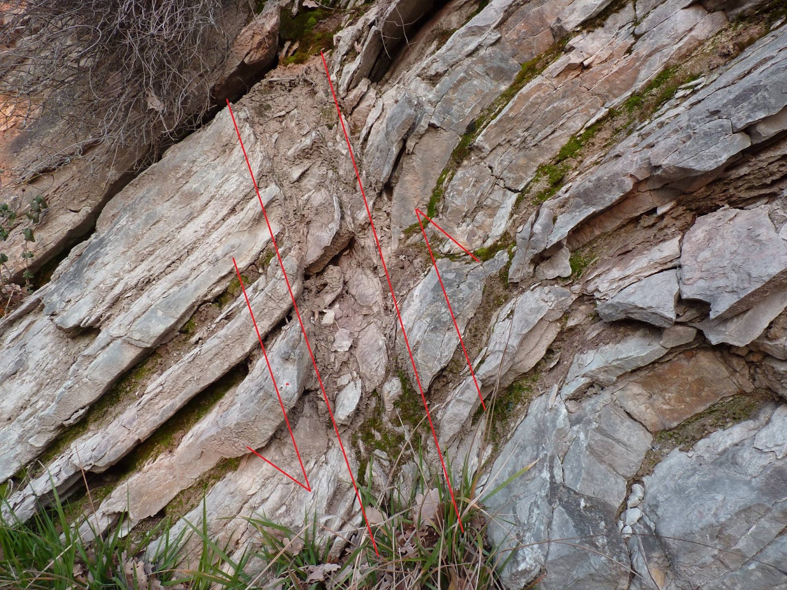 Faglie: esempi dal rilevamento geologico