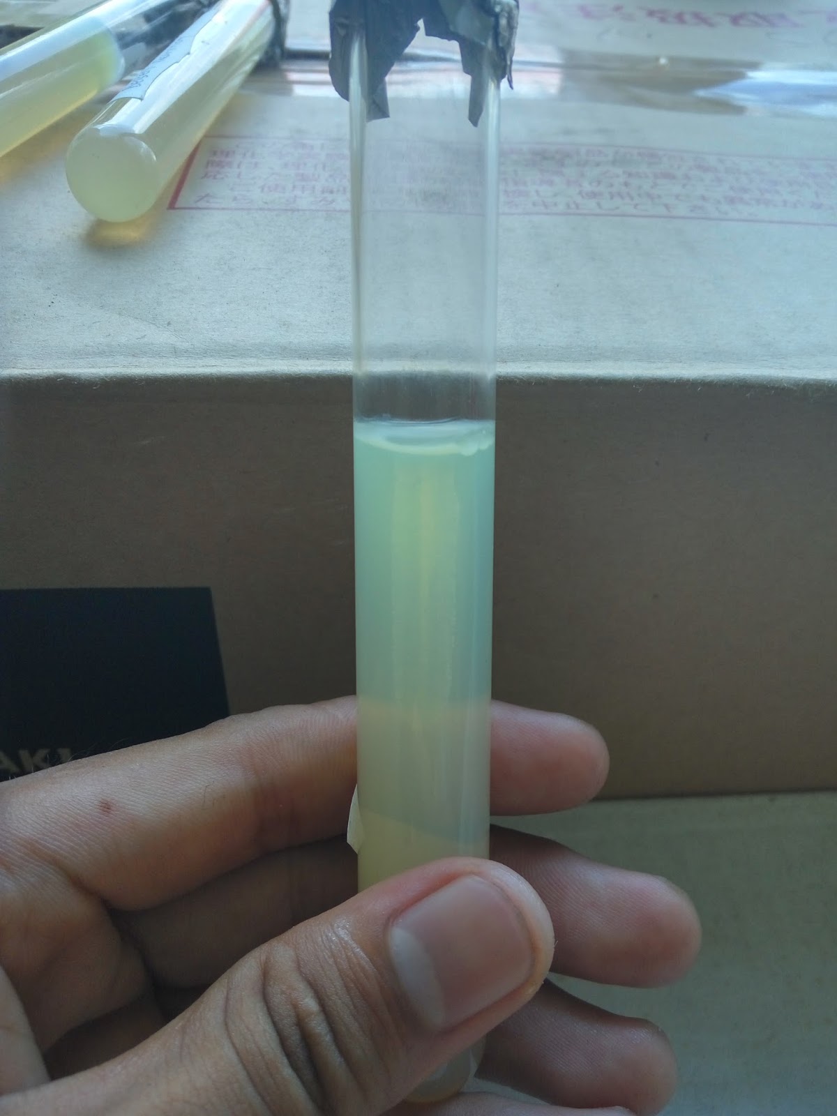 Mahasiswa Cerdas: Laporan Praktikum Mikrobiologi