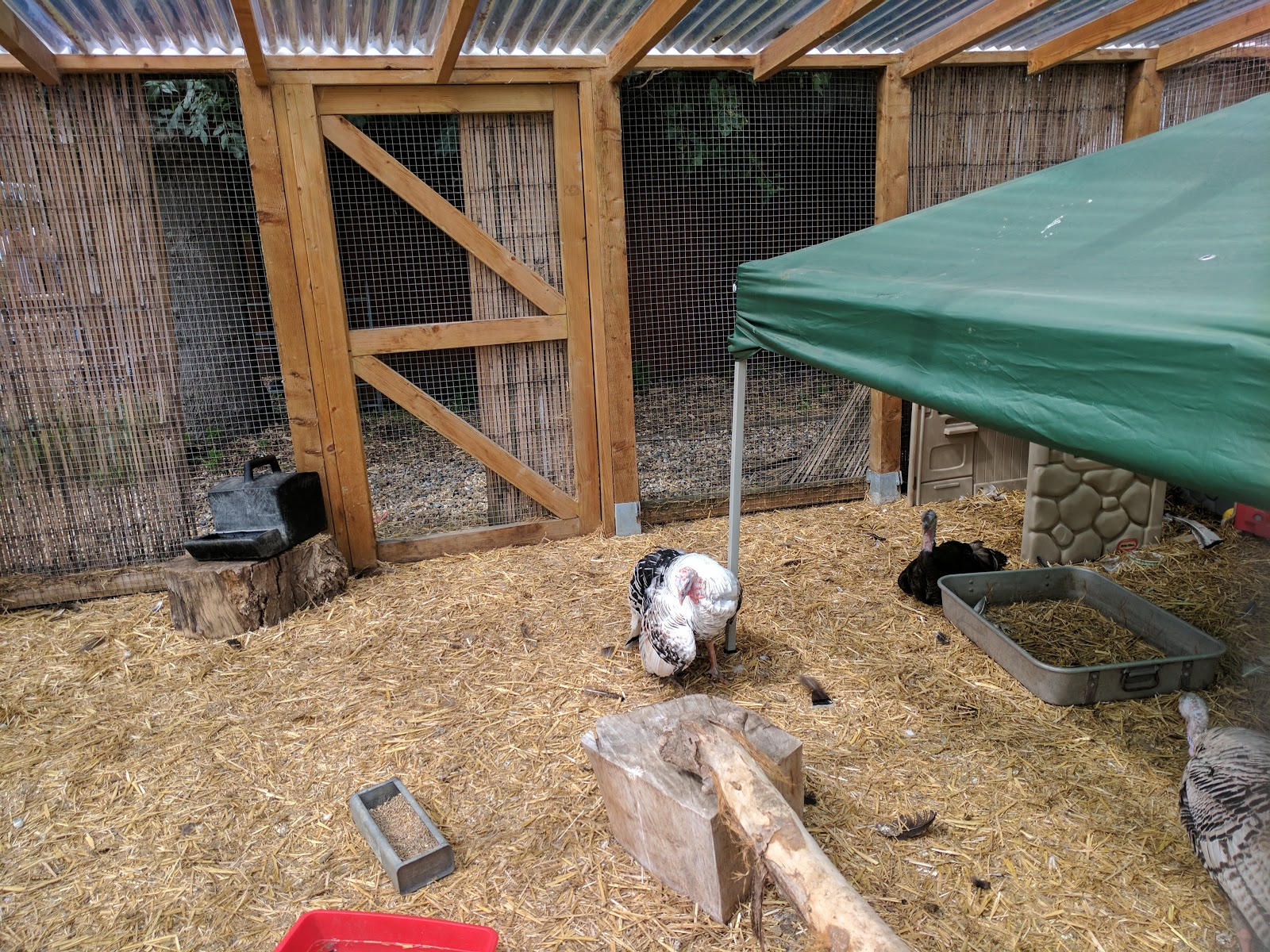 JibberJabberUK: Deen City Farm
