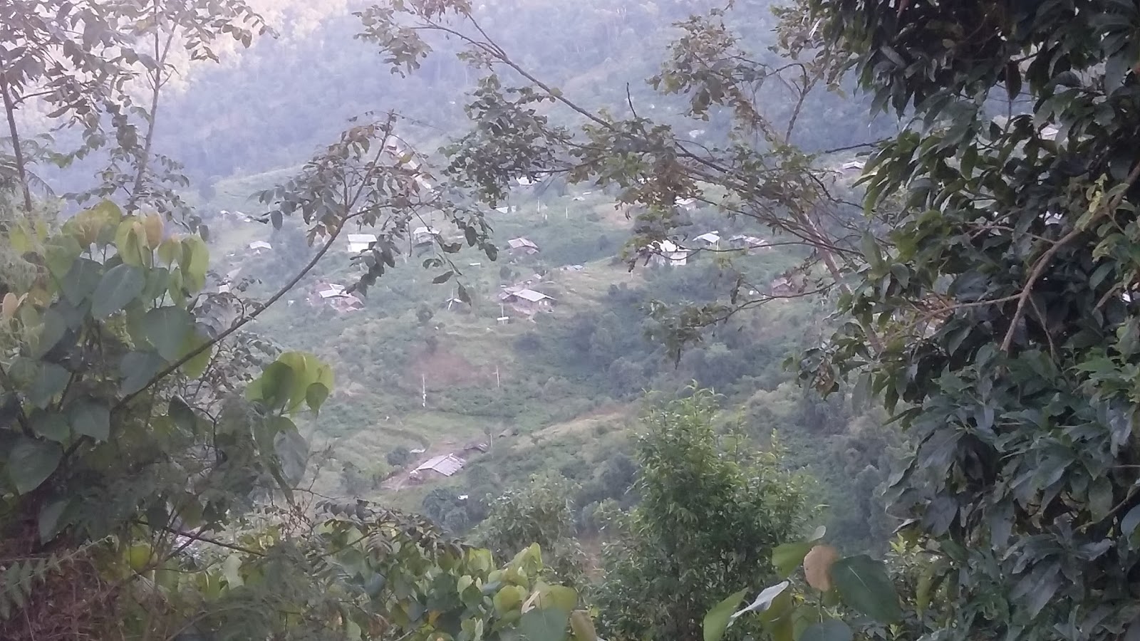 Astee's memoir: Deep into the Lhop valley (Memories from an excursion ...