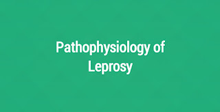 Leprosy : Definition, Etiology, Pathophysiology, Clinical sign and ...
