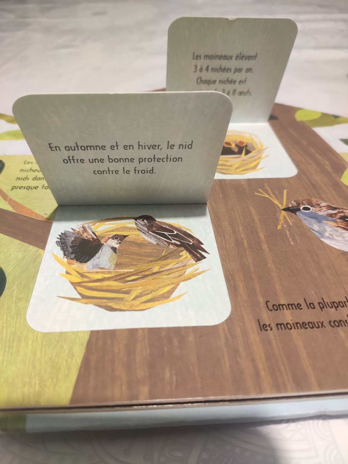 Activités sur le thème des oiseaux en Maternelle