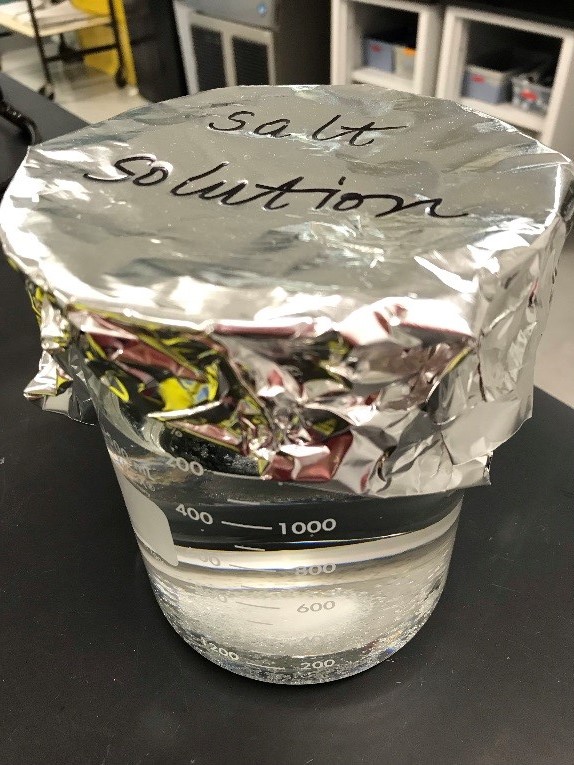 Biology Lab Notes: How To Make Saturated Salt Solution