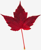 Sirop de artar. Preparare si Beneficii